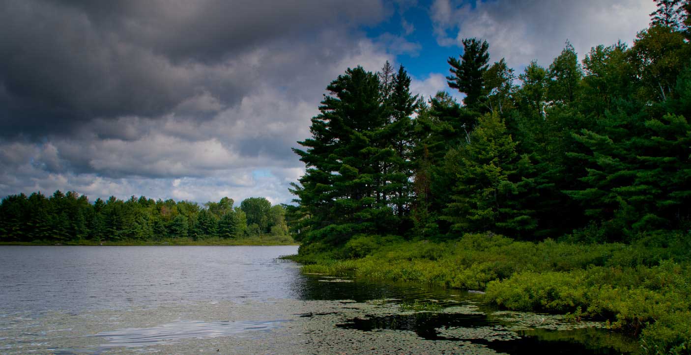 The Journey to Ontario’s First Cross-border Conservation Easement ...