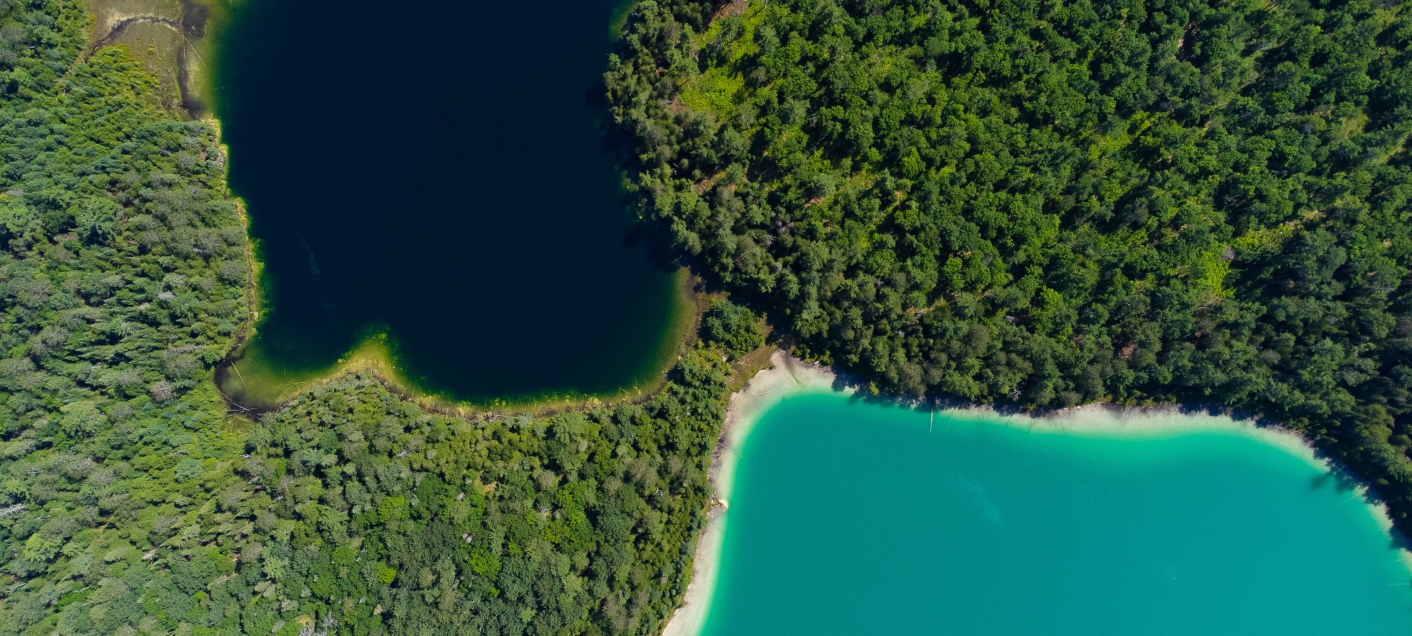 Ontario Conservation Accelerator - AMERICAN FRIENDS